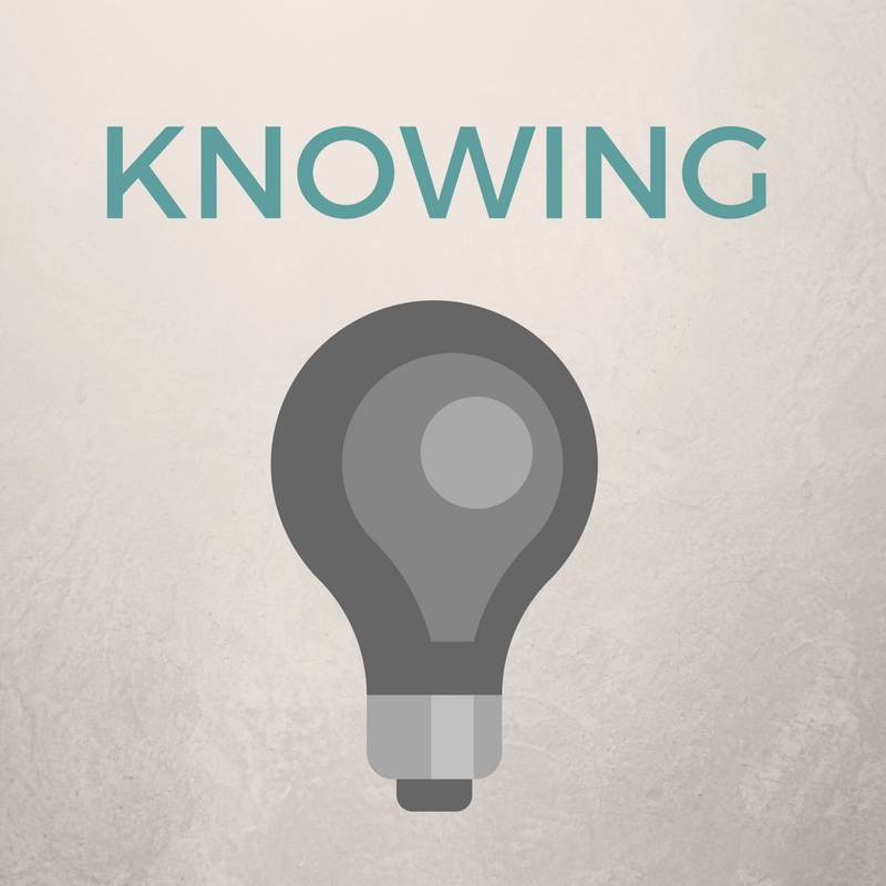 Knowing: Shaking Up a Familiar Life Route | Mary Jo Sharp
